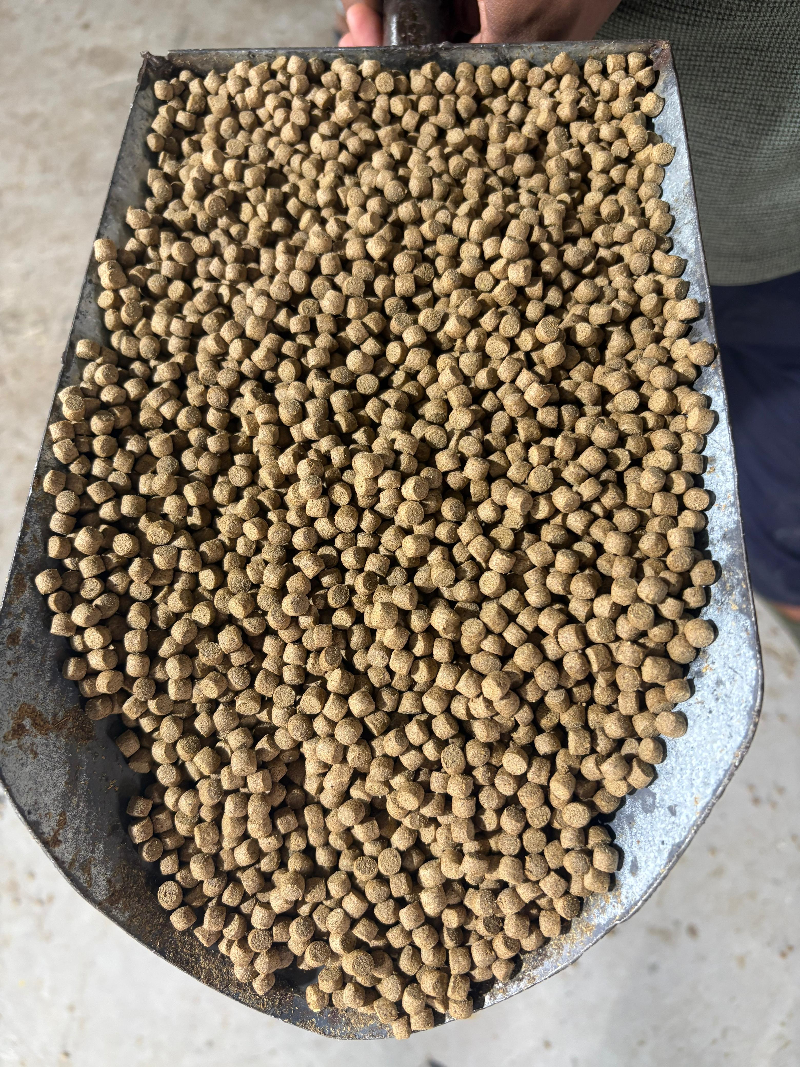 Populerr Fish Feeds | High-Quality Fish Feed in India